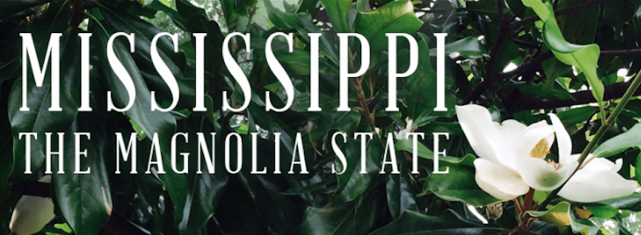 How a Visit to the Magnolia State Can Inspire You - HottyToddy.com